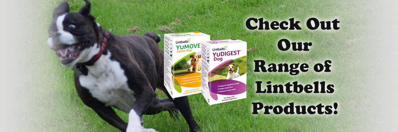 Pet Supplies Derby | Pet Shop Derby | Pet Food | Trusty Pet Supplies