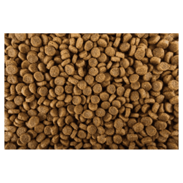 Dog - Trusty Pet Supplies