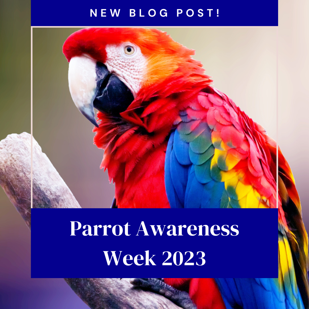National Parrot Awareness Week 2023 | Trusty Pet Supplies
