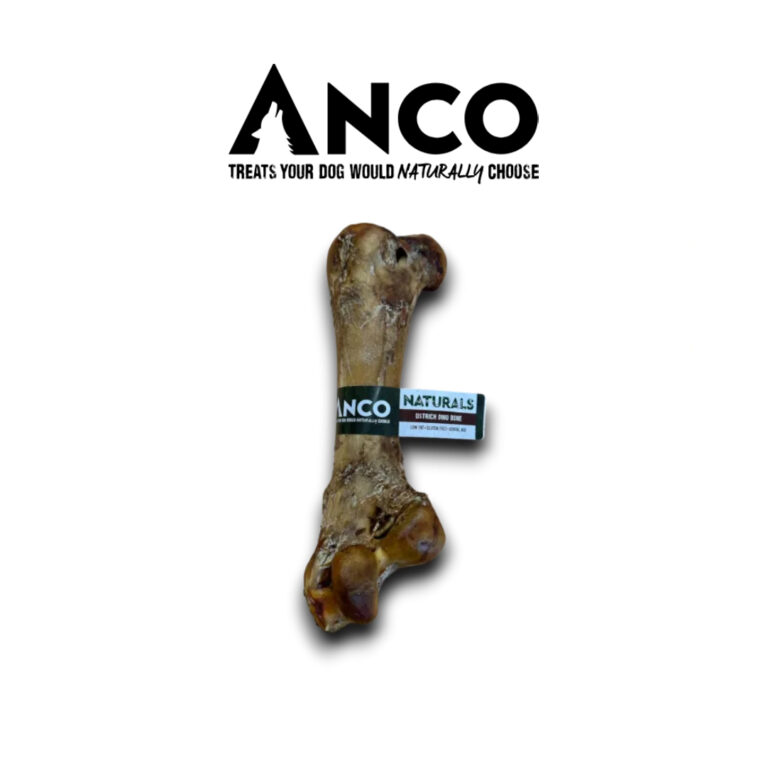 Anco Naturals Ostrich Dino Bone | Trusty Pet Supplies